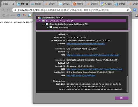 Docker Go Image Cannot Go Get X509 Certificate Signed By Unknown