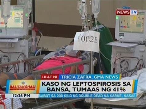 Kaso ng leptospirosis sa bansa, tumaas ng 41% - YouTube