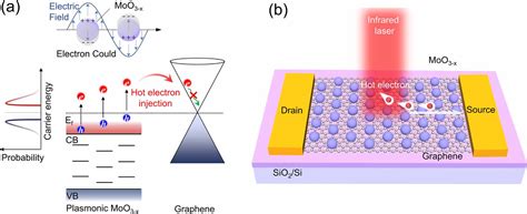 High Performance Infrared Photodetection Beyond Bandgap Limitation