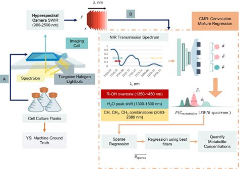 Overview Of Cmr Network Experimental Design And Architecture A Cho Download Scientific