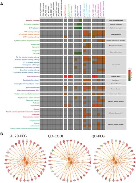 Functional Analysis Of The Transcriptomics Data A Functional Download Scientific Diagram