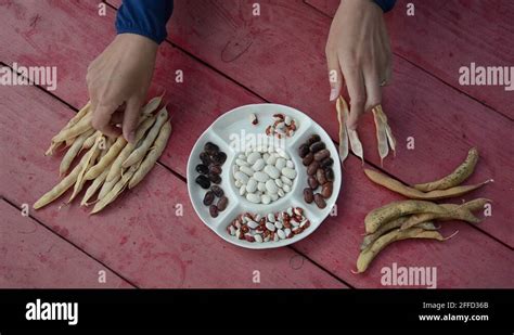 shell bean stock videos and footage hd and 4k video clips alamy