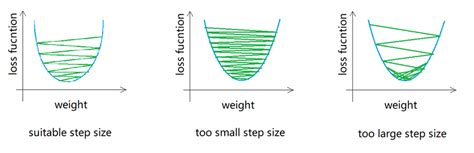 The Comparison Of Different Step Size Therefore The General Gradient