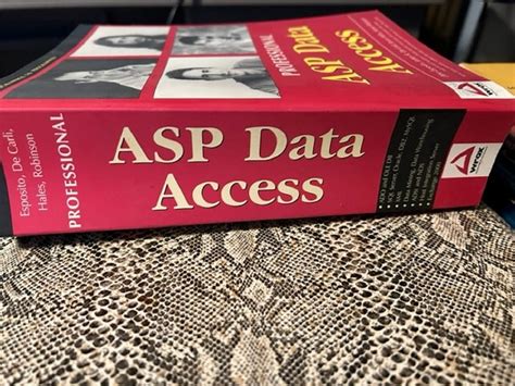 Professional Asp Data Access My Book Station