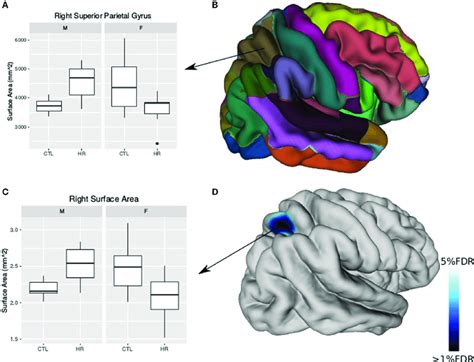 Sex Differences In Surface Area SA In Individuals At Clinical High Download Scientific