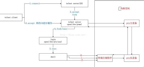 伪终端pty详解 Csdn博客