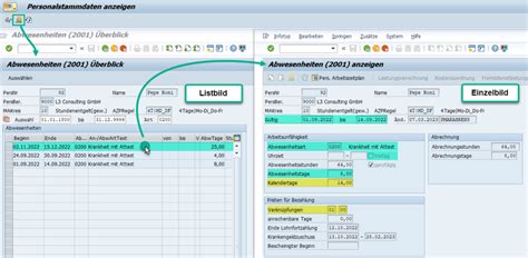 Das Infotyp Listbild Im Sap Hcm Anpassen And Erweitern Teil 12