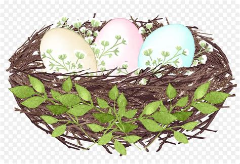 卡通鸟巢和鸟蛋pngpng图片素材下载图片编号7653929 Png素材网