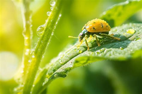 Analyzing The Economic Costs Of Pesticide Resistan Generative Ai Premium Ai Generated Image