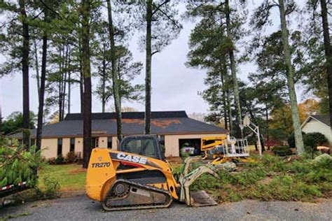 Gallery Of Next Level Tree And Excavation