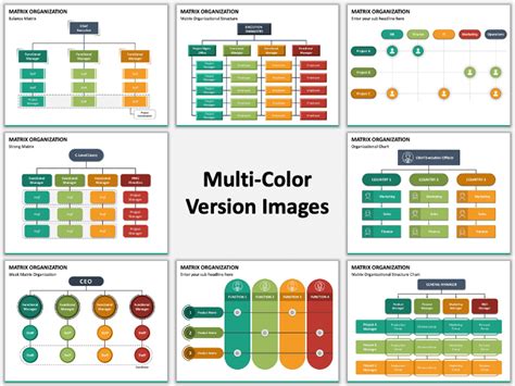 Matrix Organization PowerPoint And Google Slides Template PPT Slides