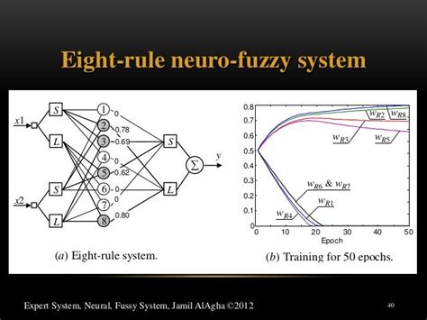 Expert System Neural Fuzzy System