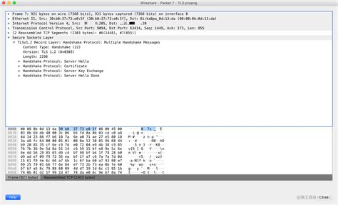 网络 使用 wireshark 分析 tls ssl 协议 通过使用 wireshark 抓取对应tls 协议包，并进行 掘金