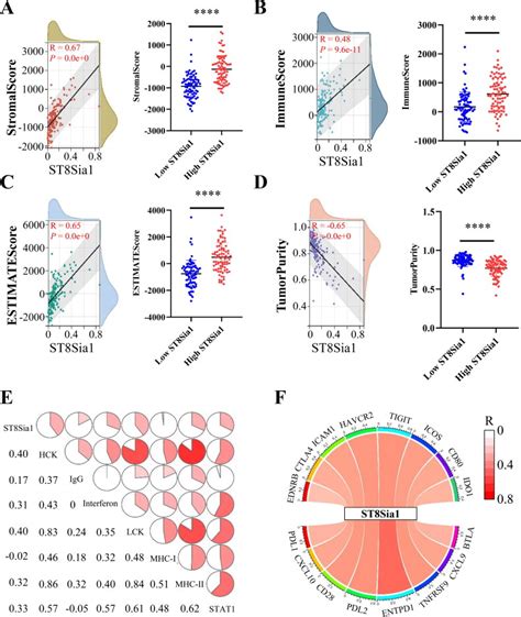 Overexpression Of St8sia1 Inhibits Tumor Progression By Tgf β1