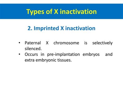 X Chromosome Inactivation Pptx
