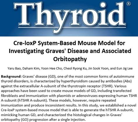 How Creloxp Modulates Thyroid Disease American Thyroid Association