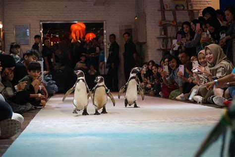 Jakarta Aquarium Trip Gray Line