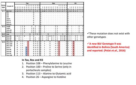 Next Generation Sequencing Application In Virology Pptx Genetics