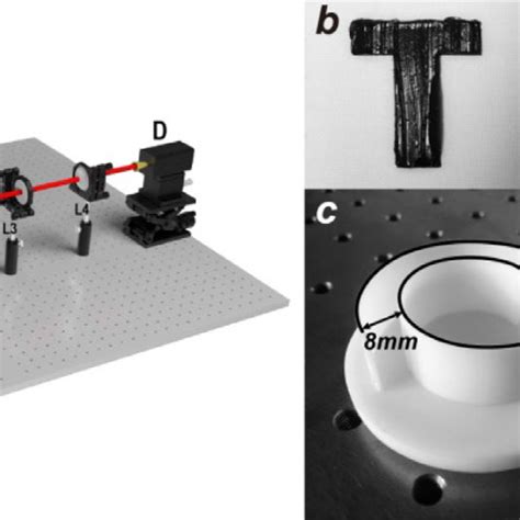 Yongqiang Yang 1037 Luo Yu Road Hongshan District Wuhan Hubei China Doctor Of Philosophy