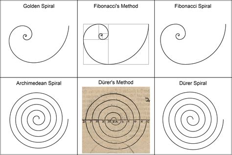 golden spiral or fibonacci spiral which is more beautiful and why