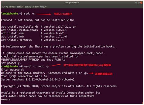 Mysql数据库的环境搭建【详细】mysql 集成环境 Csdn博客