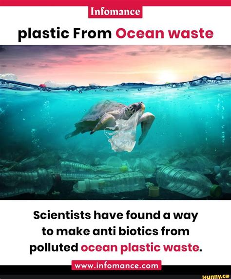 Bacillus Memes Best Collection Of Funny Bacillus Pictures On Ifunny