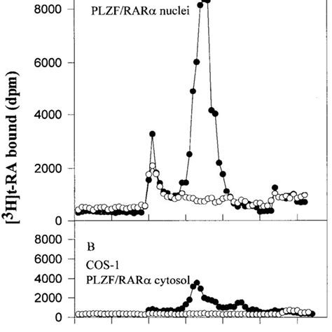 Size Exclusion Hplc Analysis Of Cytosolic A And Nuclear Download