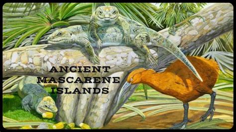 Chapter 2 Ancient Mascarene Islands Pleistocene Holocene Youtube