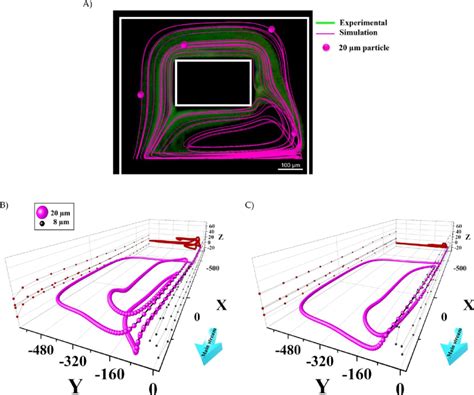 A Validation Of Particle Tracing Using Numerical Simulation Pink