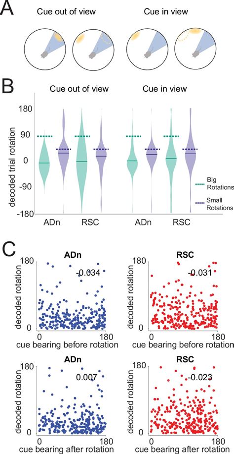 Figures And Data In Coordinated Head Direction Representations In Mouse Anterodorsal Thalamic