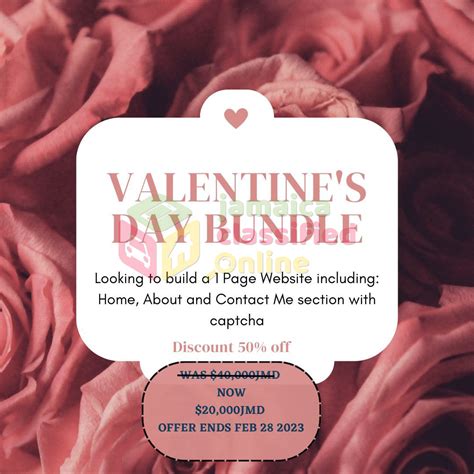 For Rent Web Developmentfrontend And Backend Onlineremote