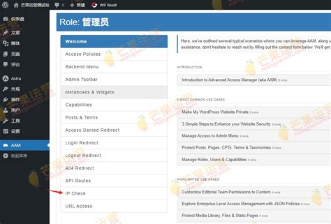 Advanced Access Manager V6 9 7 Wordpress网站高级权限设置插件下载 芒果运营