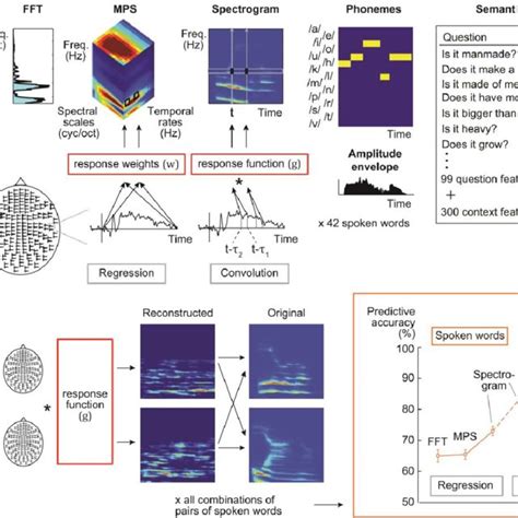 Different Decoding Models And Their Prediction Accuracy A Stimulus