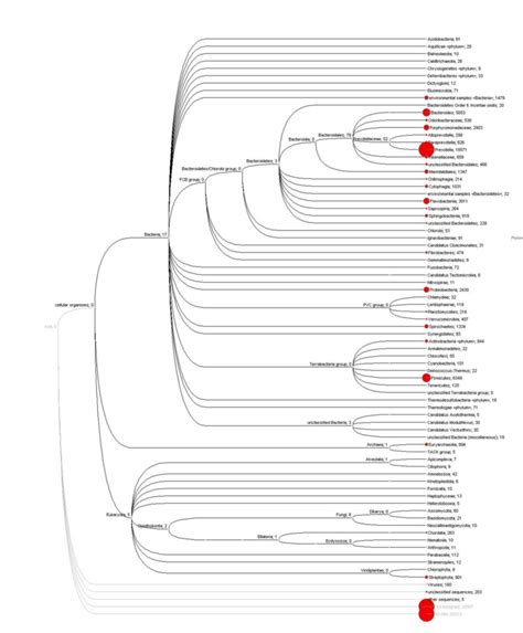 Taxonomic Affiliation Of Rumen Metatranscriptomic Dataset Using Megan