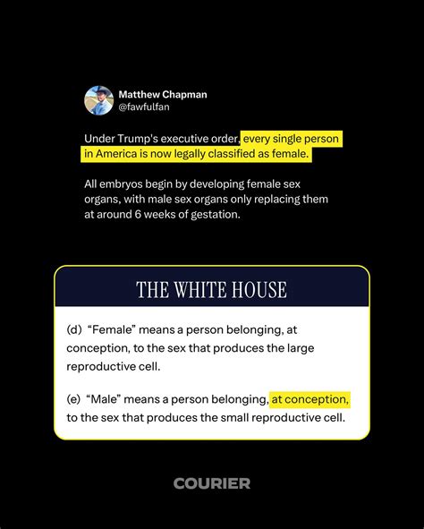 Courier As Part Of Donald Trumps Executive Order Banning Dei