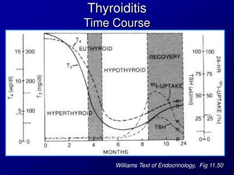 Ppt Thyroid Physiology And Thyroiditis Powerpoint Presentation Free Download Id 251134