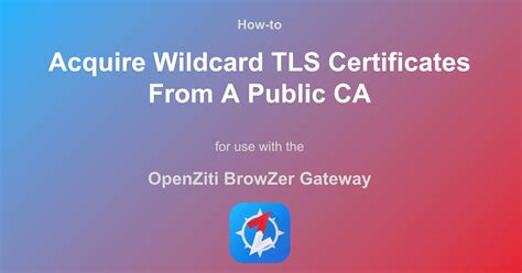 How To Acquire Wildcard Tls Certificates From A Public Ca