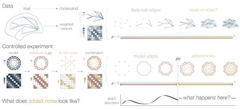 Data Contains Real Connections And Noise From Observations Our