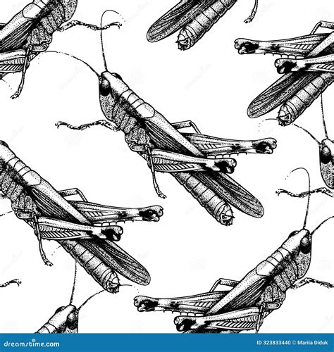Grasshopper Locust Insect Seamless Pattern Engraving Vector Illustration Hand Drawn Vector