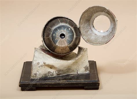 Historical Anatomical Eye Model Stock Image C002 5100 Science Photo Library