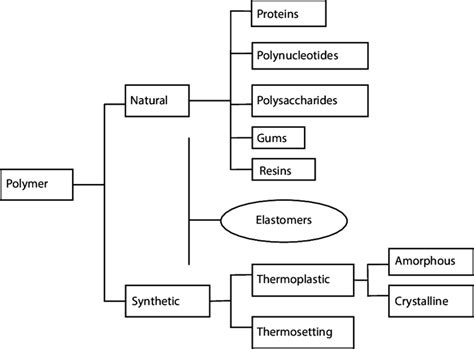 2 A Classification Of Polymers 9 Download Scientific Diagram