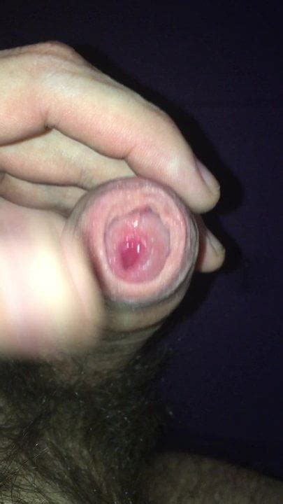 Inspecionando Meu Grande Pau Branco Incircunciso Xhamster