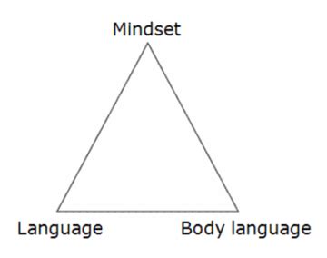 The State Triangle Family Matters