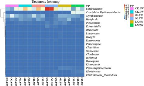 Hierarchically Clustered Heatmap Analysis Based On The Abundance Of The