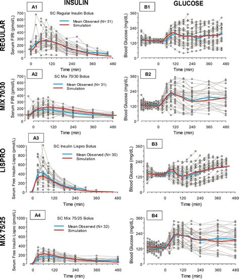 Toward Better Understanding Of Insulin Therapy By Translation Of A Pk