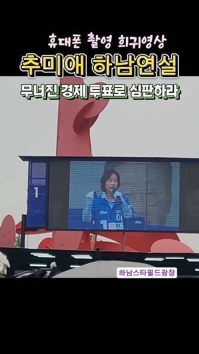 추미애 연설중 V자 기러기떼 놀랄일 발생 대선 이재명 김문수 민주당 Youtube