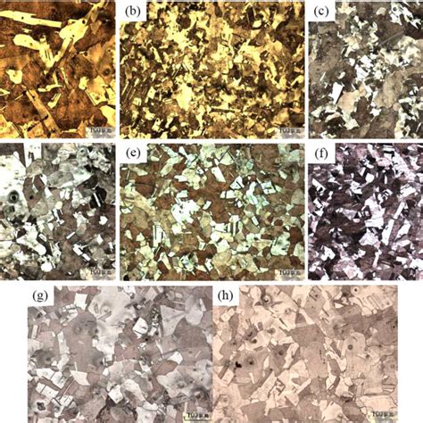 microstructures of different temperature at parallel extrusion