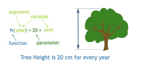 【ai 教室】甚麼是參數 parameters ？ 股跡