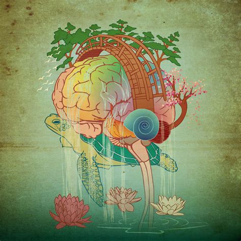 Cd Front Cover Design