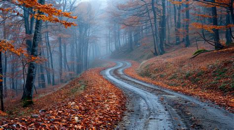 Dirt Road Cutting Through Forest Premium Ai Generated Image